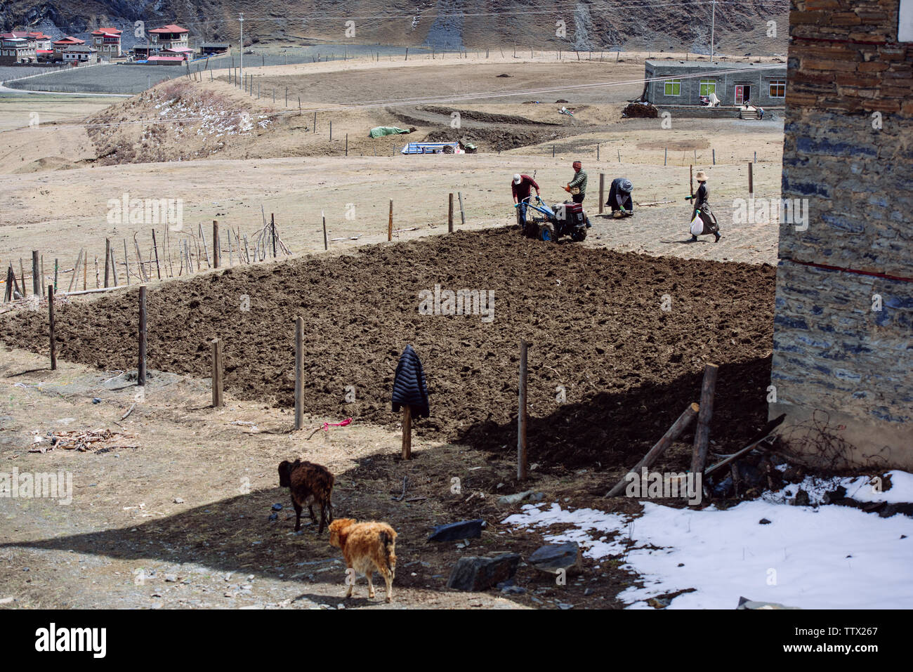 Tibetan farmers hi-res stock photography and images - Alamy