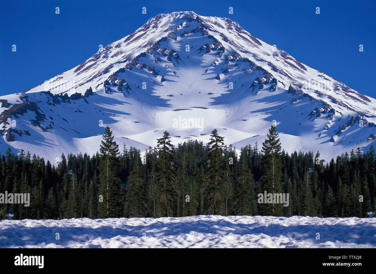Mountain ranges covered forest hi-res stock photography and images - Alamy