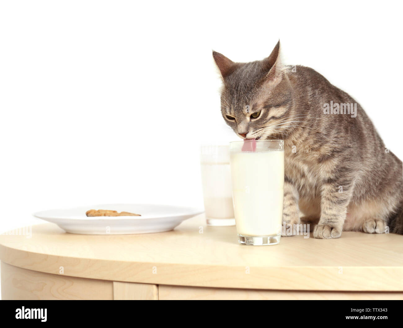 Cute cat drinking milk, closeup Stock Photo - Alamy