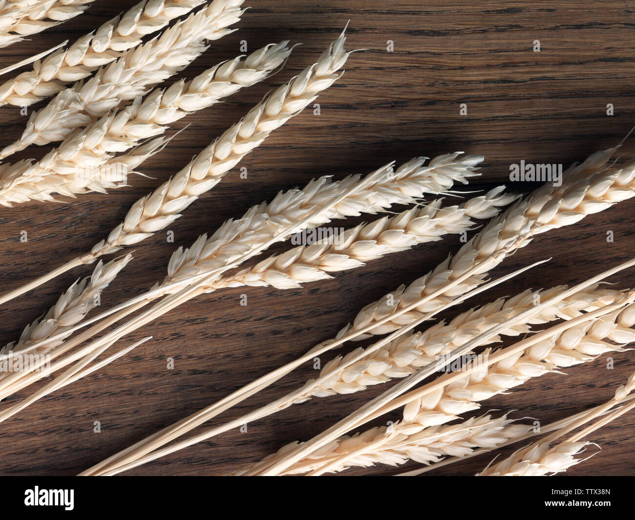 Close up of wheat ears Stock Photo - Alamy