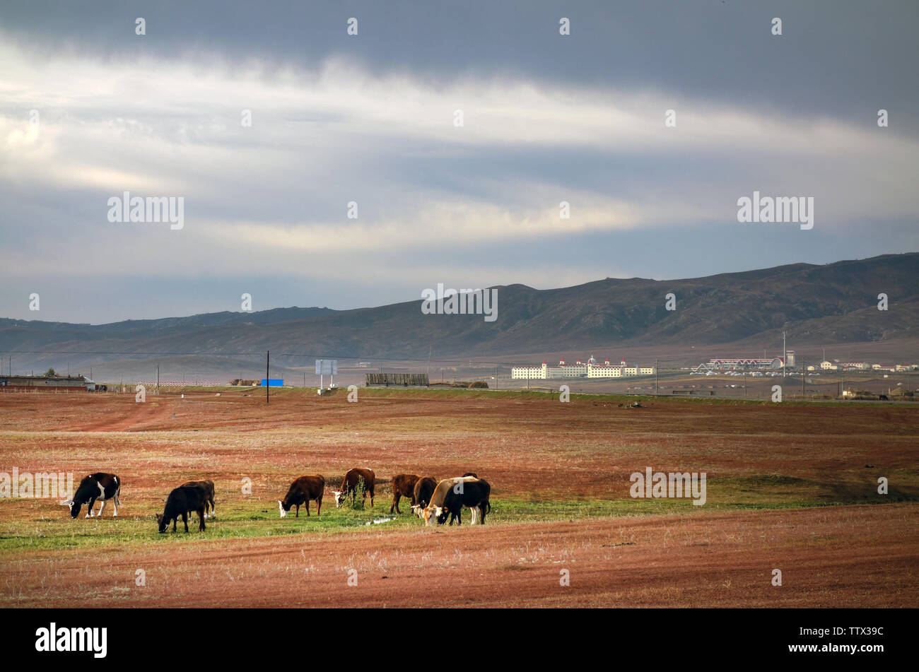 Northern Xinjiang scenery Stock Photo - Alamy