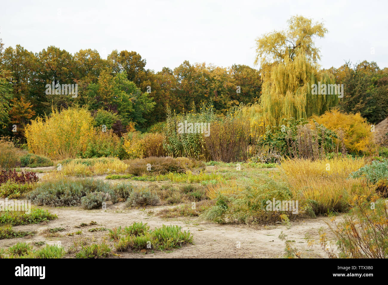 The long pathway hi-res stock photography and images - Alamy