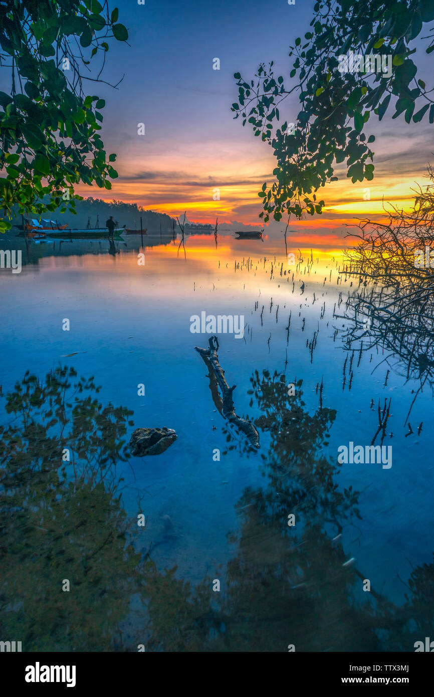 early morning under a shady tree Stock Photo - Alamy