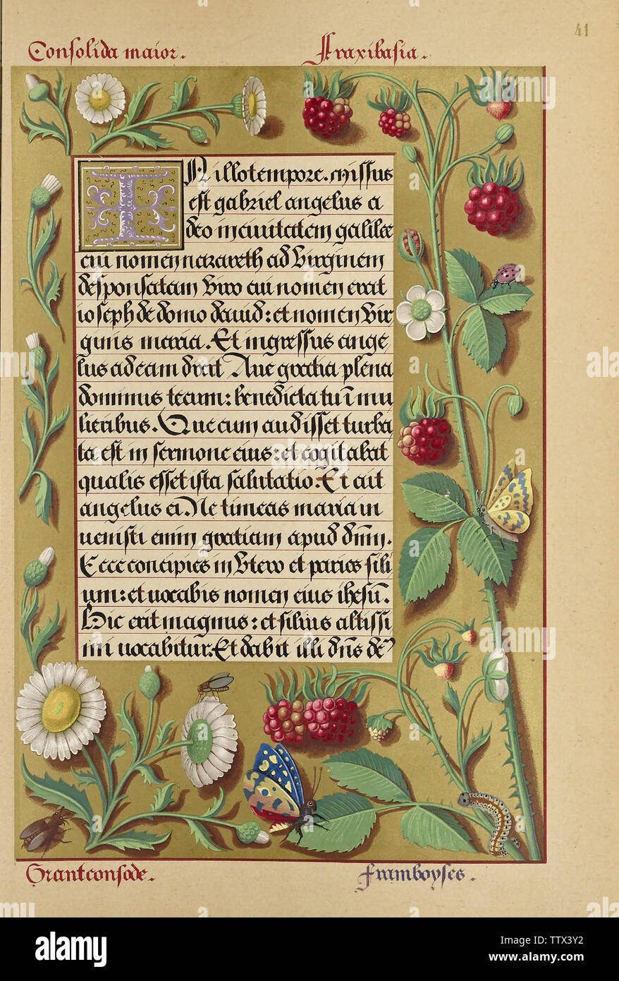 Manuscript booknuscript book Stock Photo - Alamy