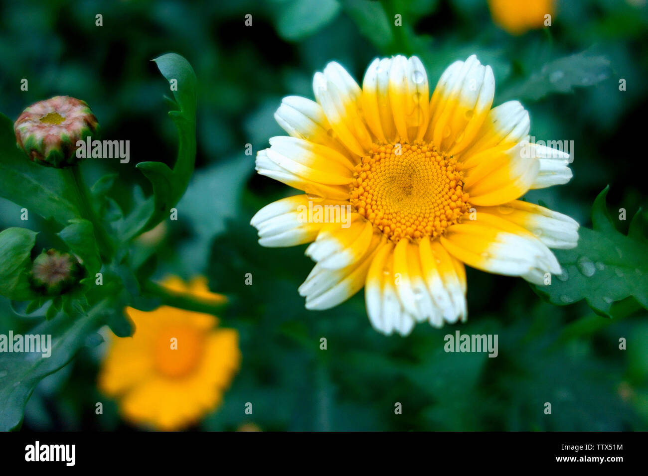 Micro composites hi-res stock photography and images - Alamy