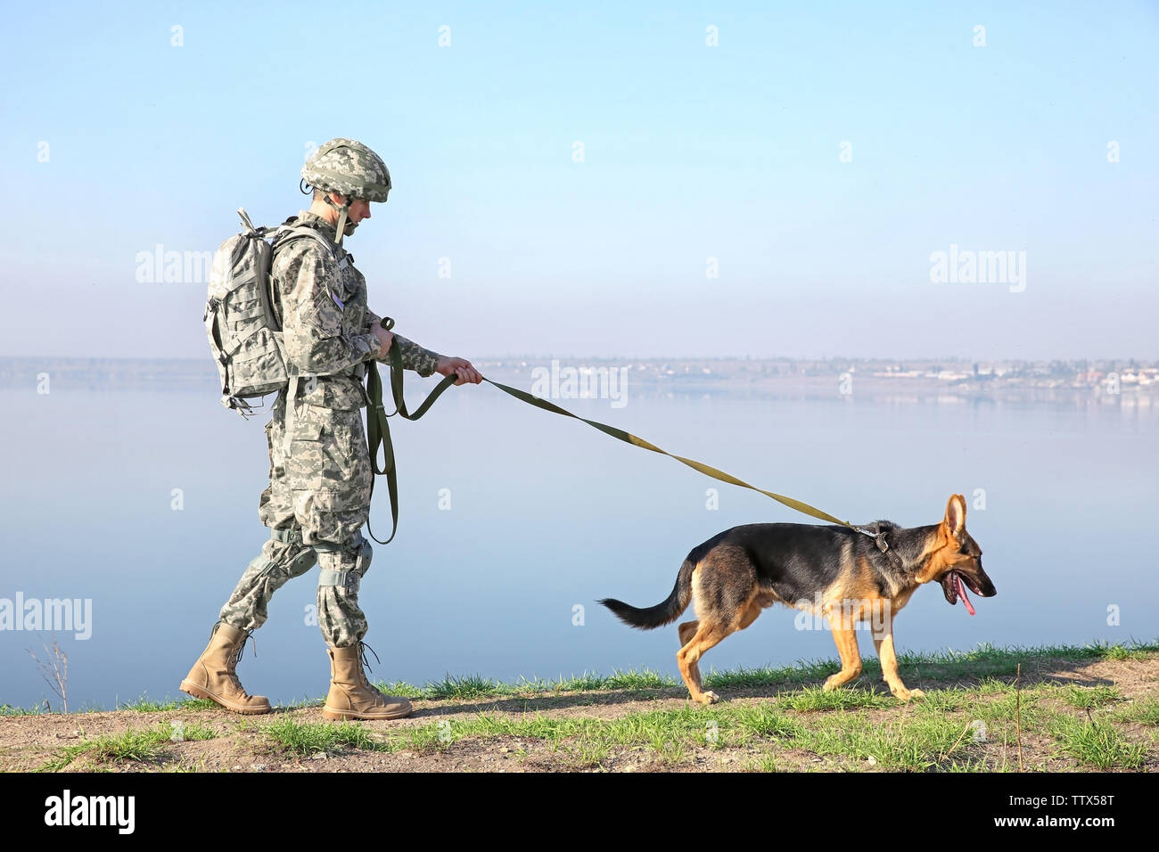 German Shepherd Military Dogs