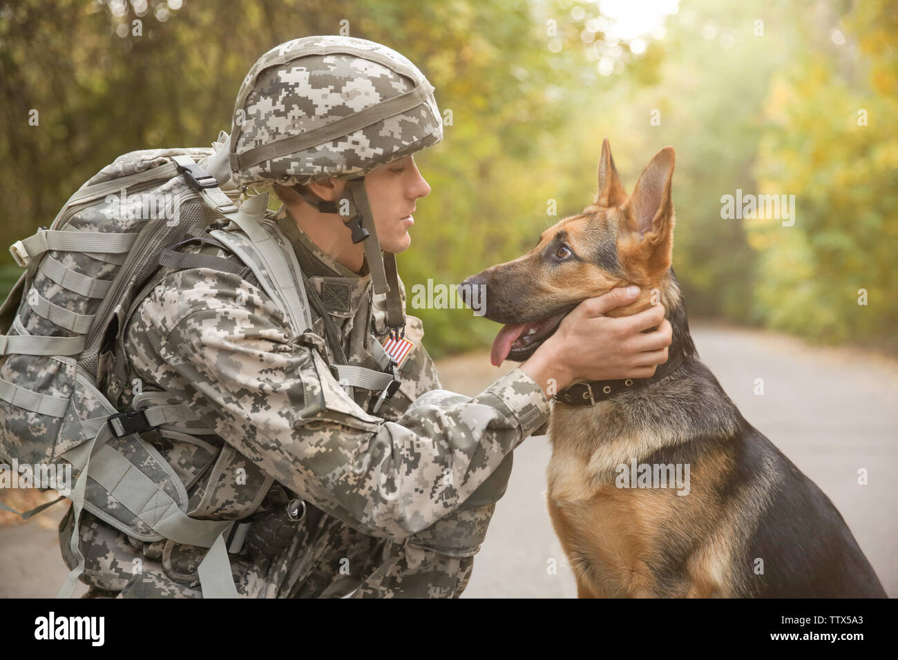 Soldier with military working dog on blurred background Stock Photo - Alamy