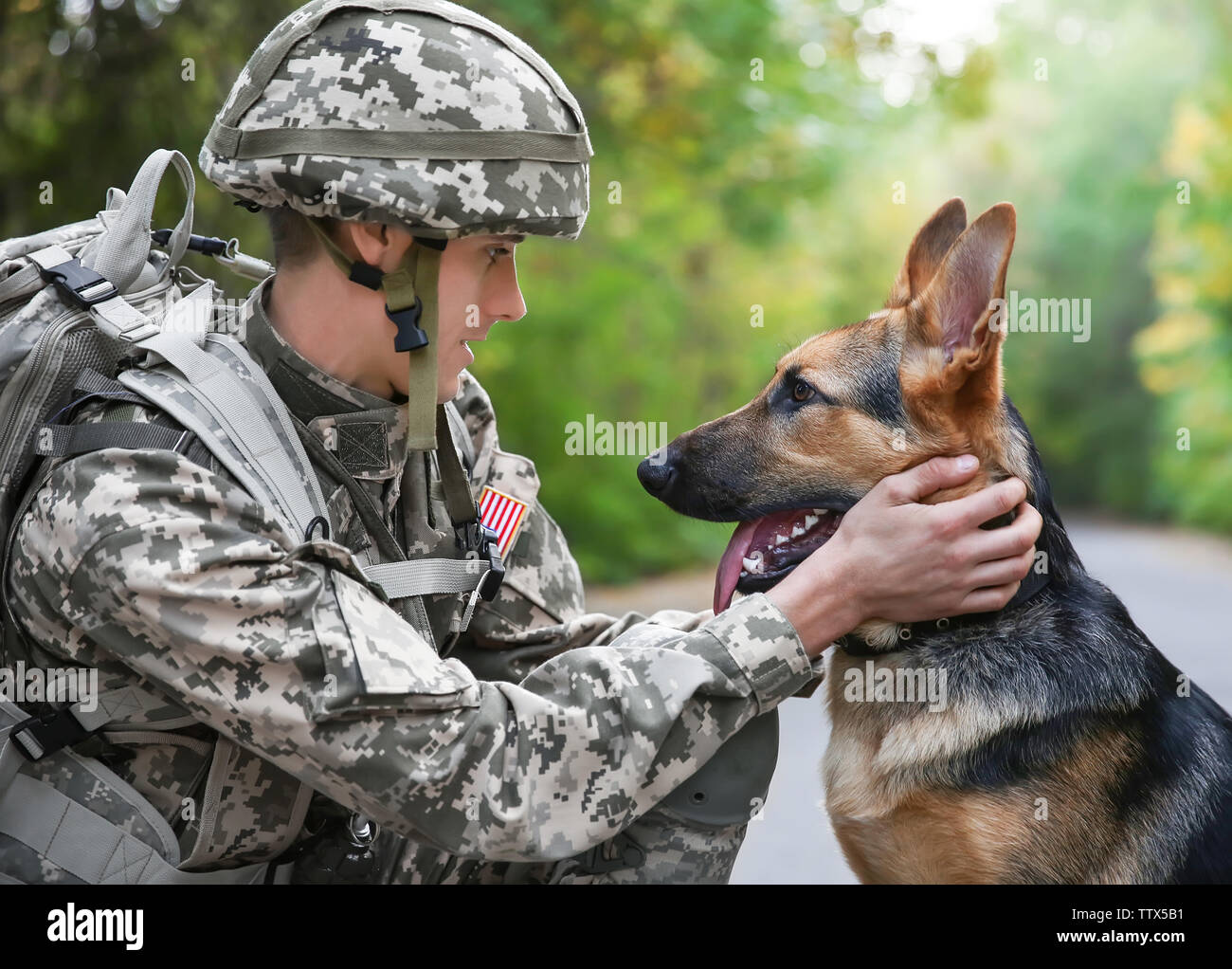 Soldier with military working dog on blurred background Stock Photo - Alamy
