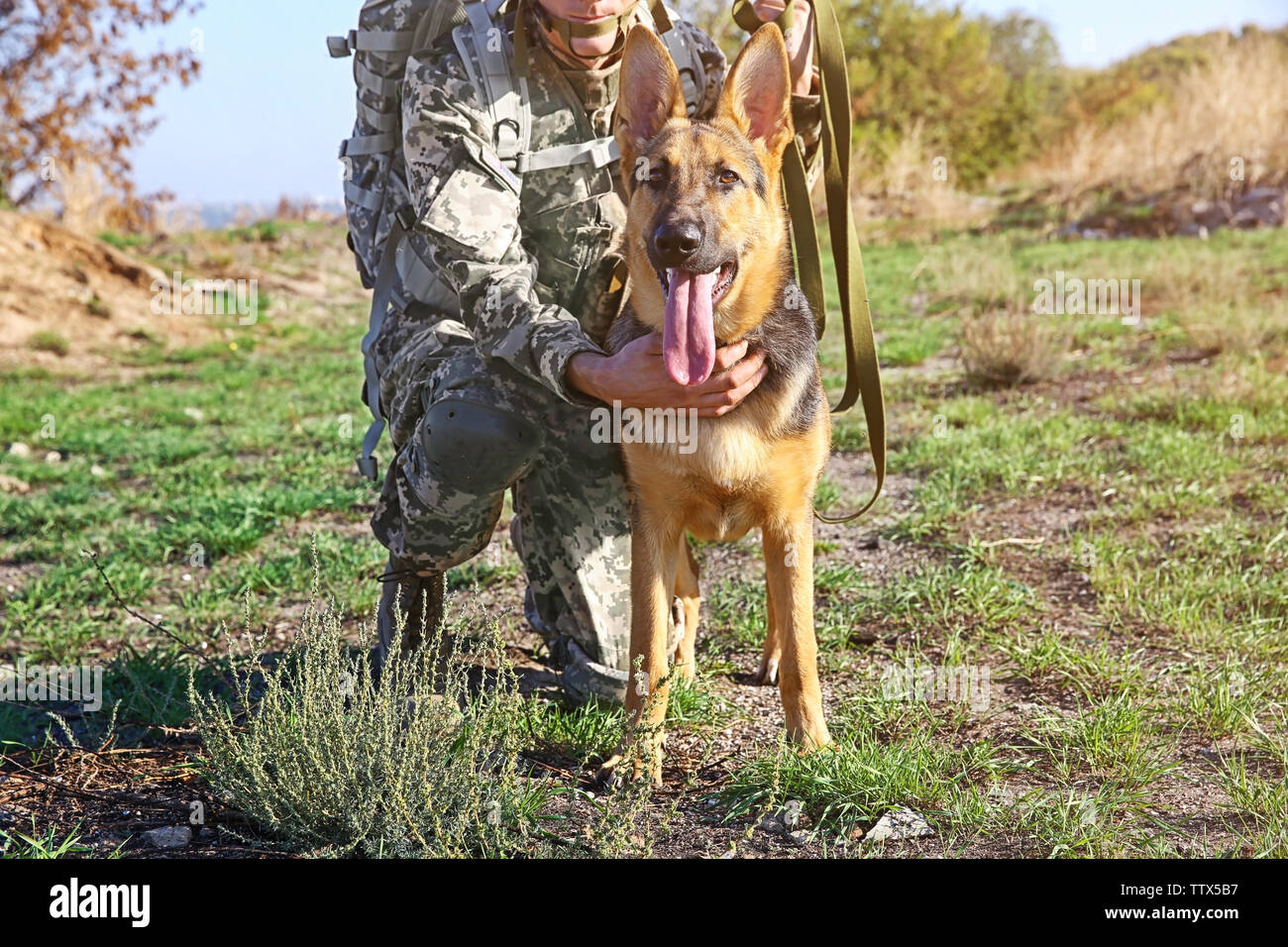 Soldier with german shepherd dog at military firing range Stock Photo ...
