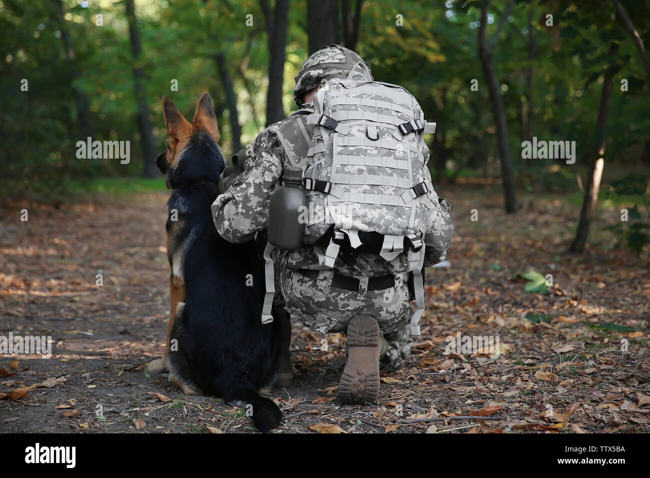 Military working dog handler hi-res stock photography and images - Alamy