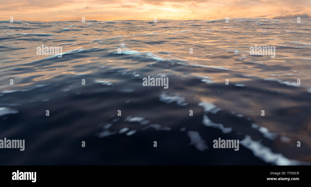 Low angle close up sea wave on sunset view Stock Photo - Alamy