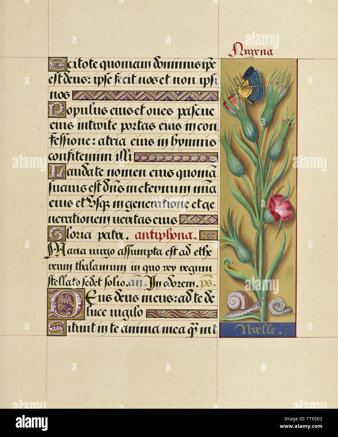 Illegible manuscript book hi-res stock photography and images - Alamy