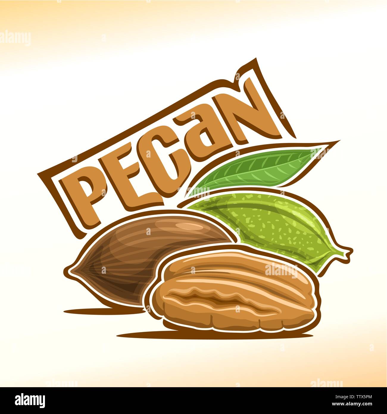 Vector logo for pecan Stock Vector Image & Art - Alamy