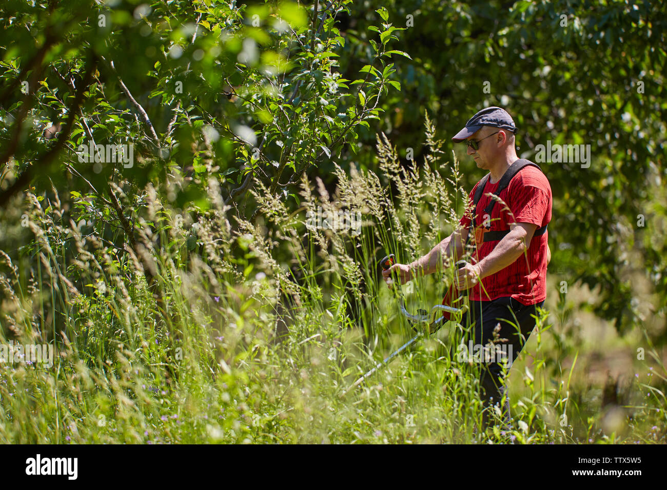 Man mowing his lawn with a grass cutter Stock Photo - Alamy