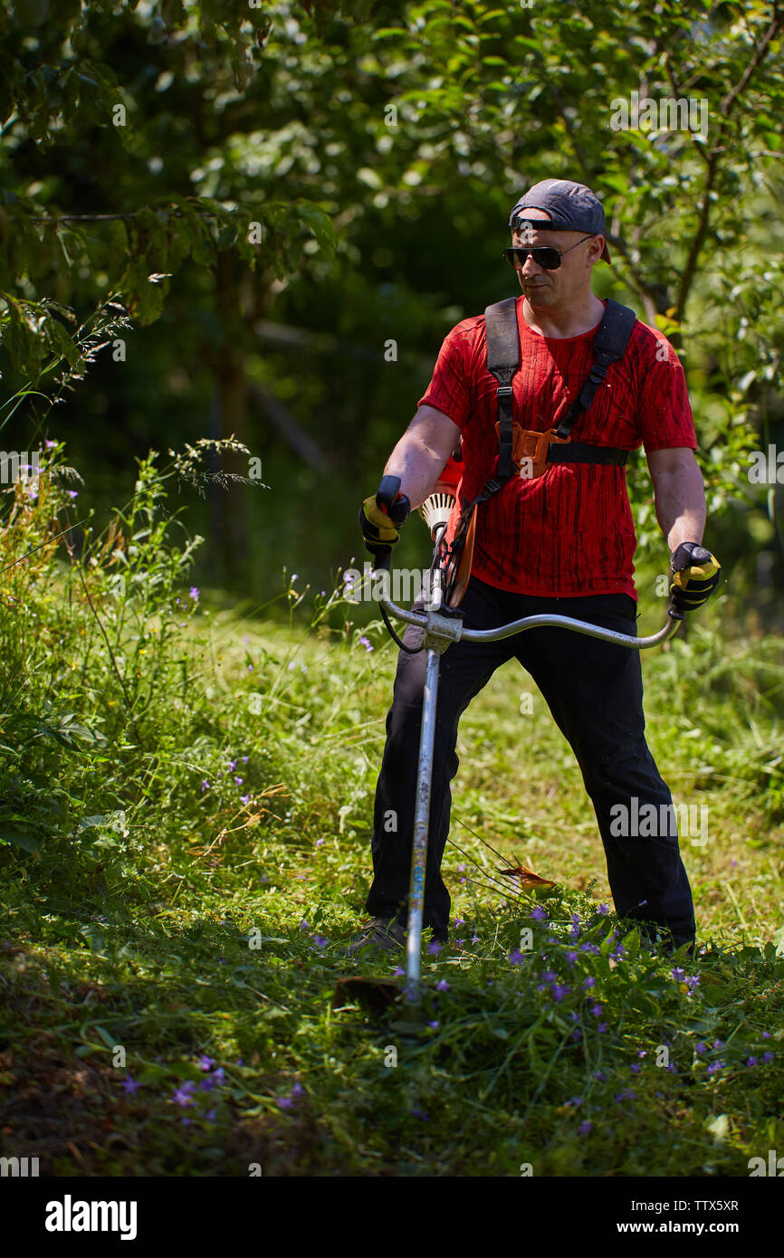 Man mowing his lawn with a grass cutter Stock Photo - Alamy