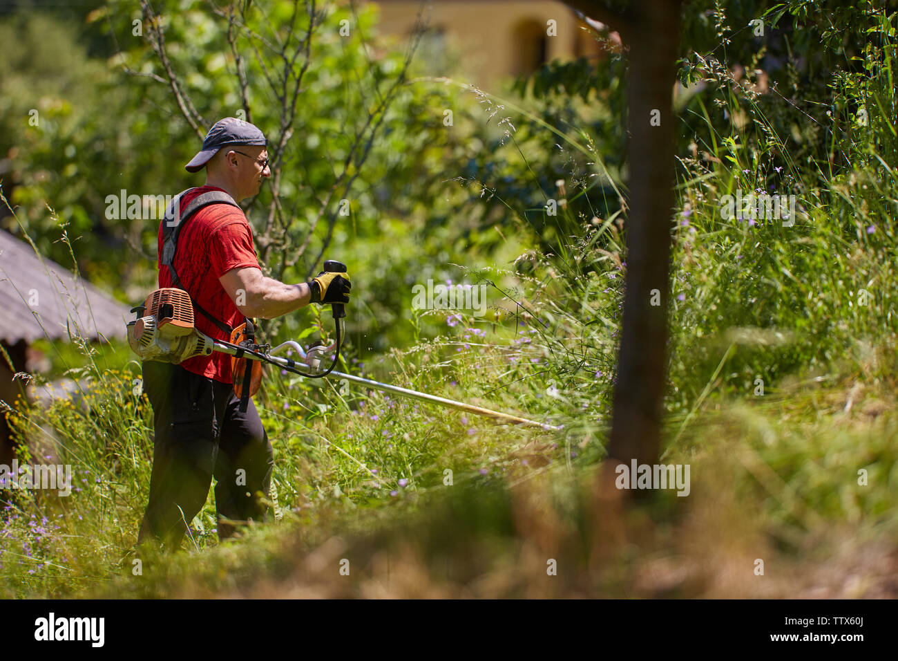 Man mowing his lawn with a grass cutter Stock Photo - Alamy