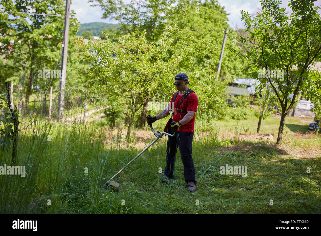 Man mowing his lawn with a grass cutter Stock Photo - Alamy