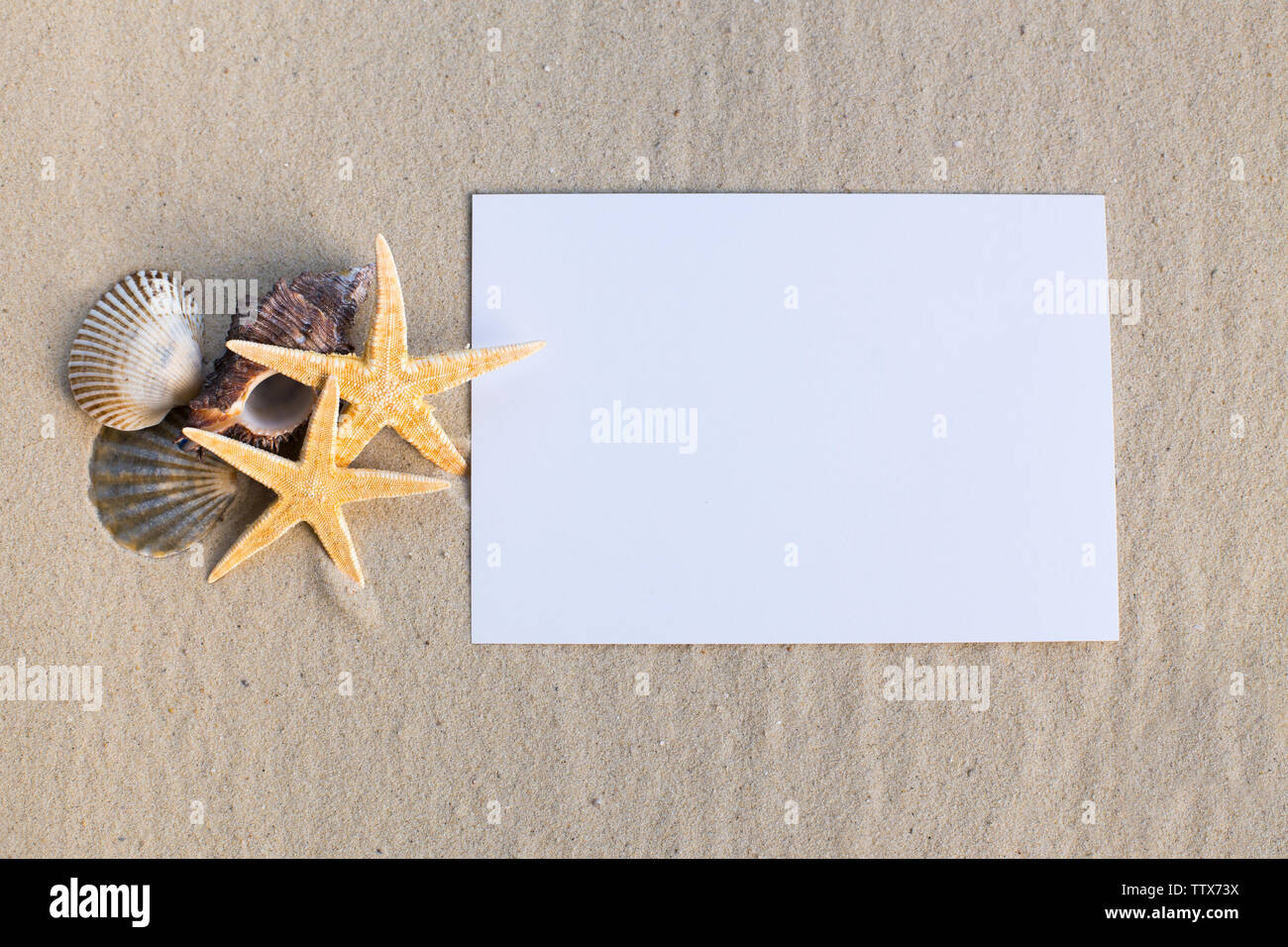 holiday beach concept with shells, seastars and an blank postcard Stock ...