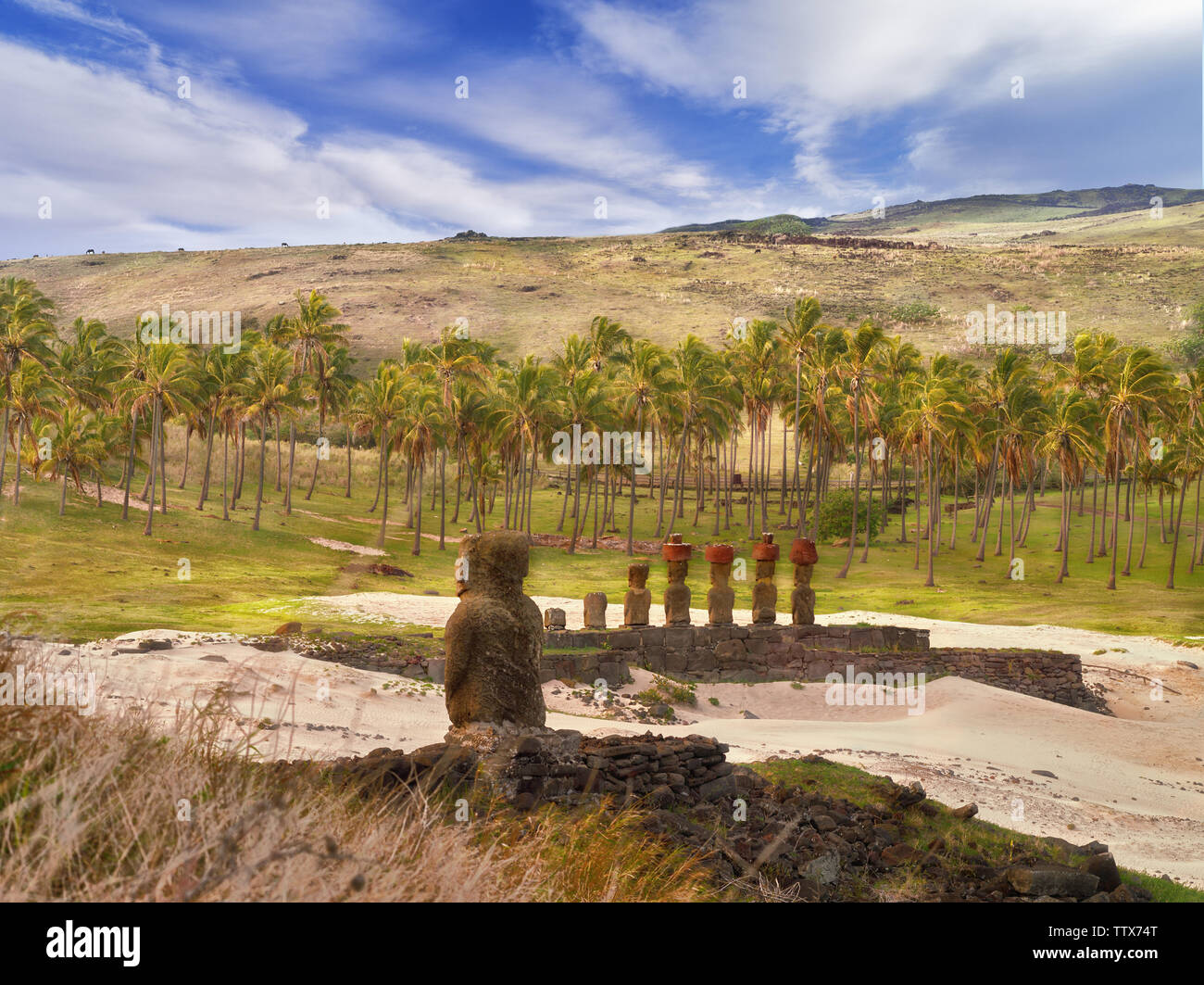 Coastal complex megalithic statues of Easter Island with a rare palm ...