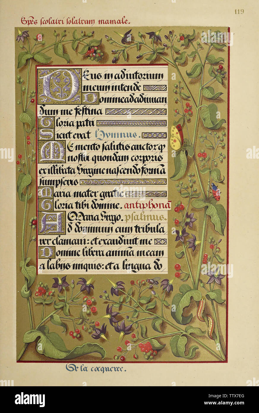 Manuscript booknuscript book Stock Photo - Alamy