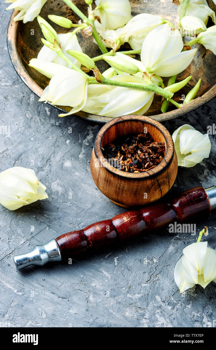 Turkish smoking hookah with the scent of yucca.Flower tobacco.Smoking ...