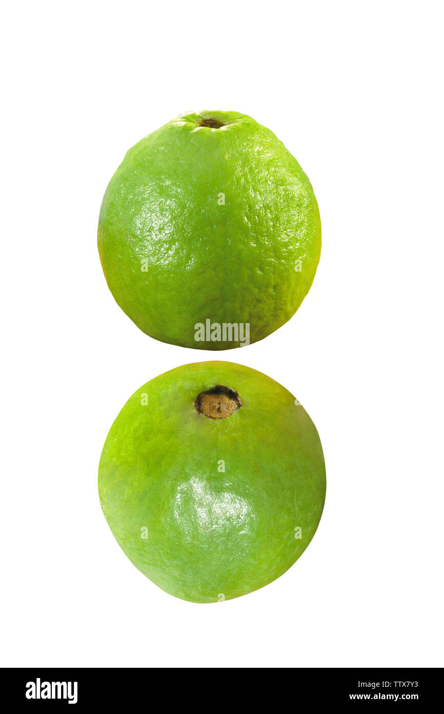 Two green guava hi-res stock photography and images - Alamy