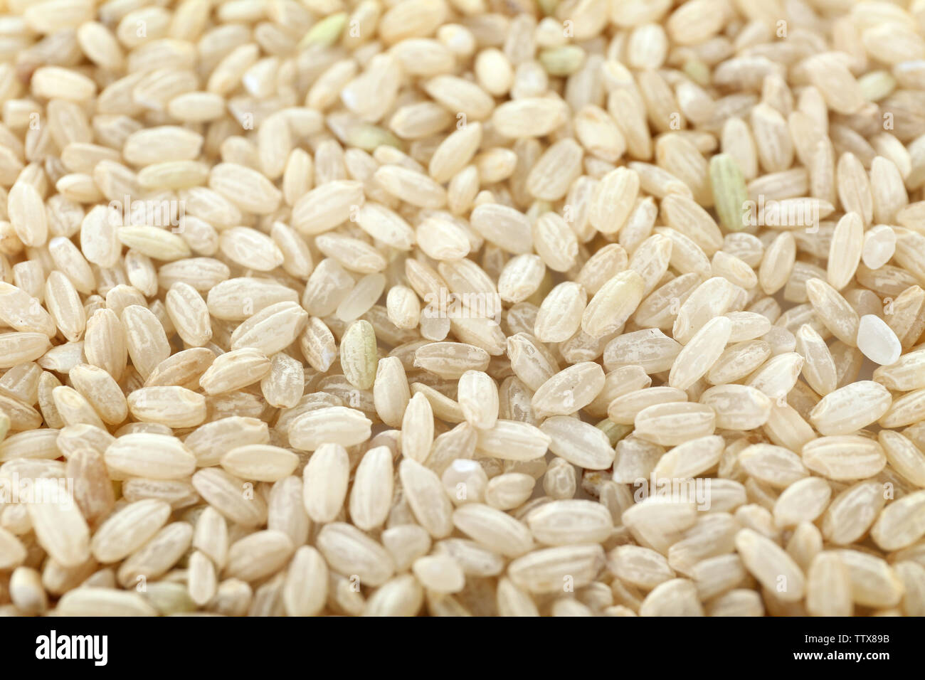Short grain rice hi-res stock photography and images - Alamy