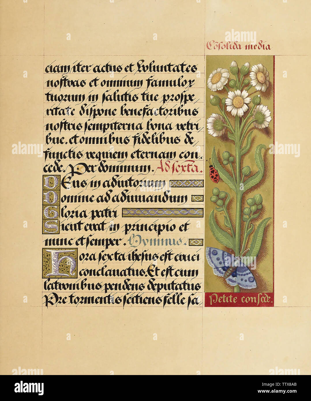 Illegible manuscript book hi-res stock photography and images - Alamy