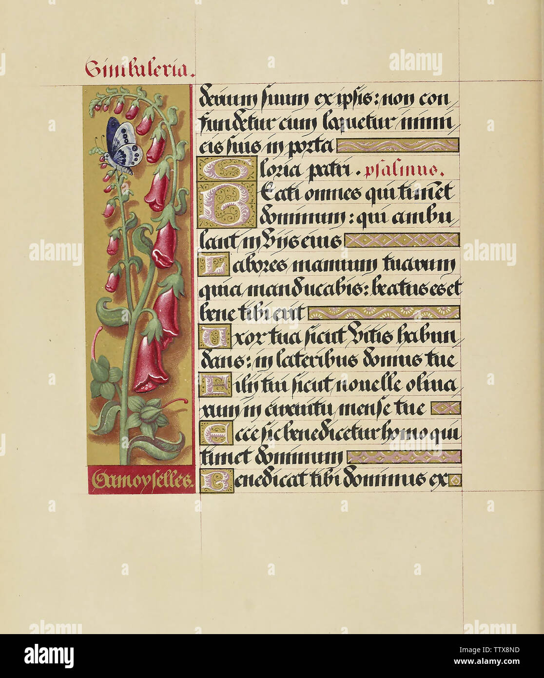 Manuscript booknuscript book Stock Photo - Alamy