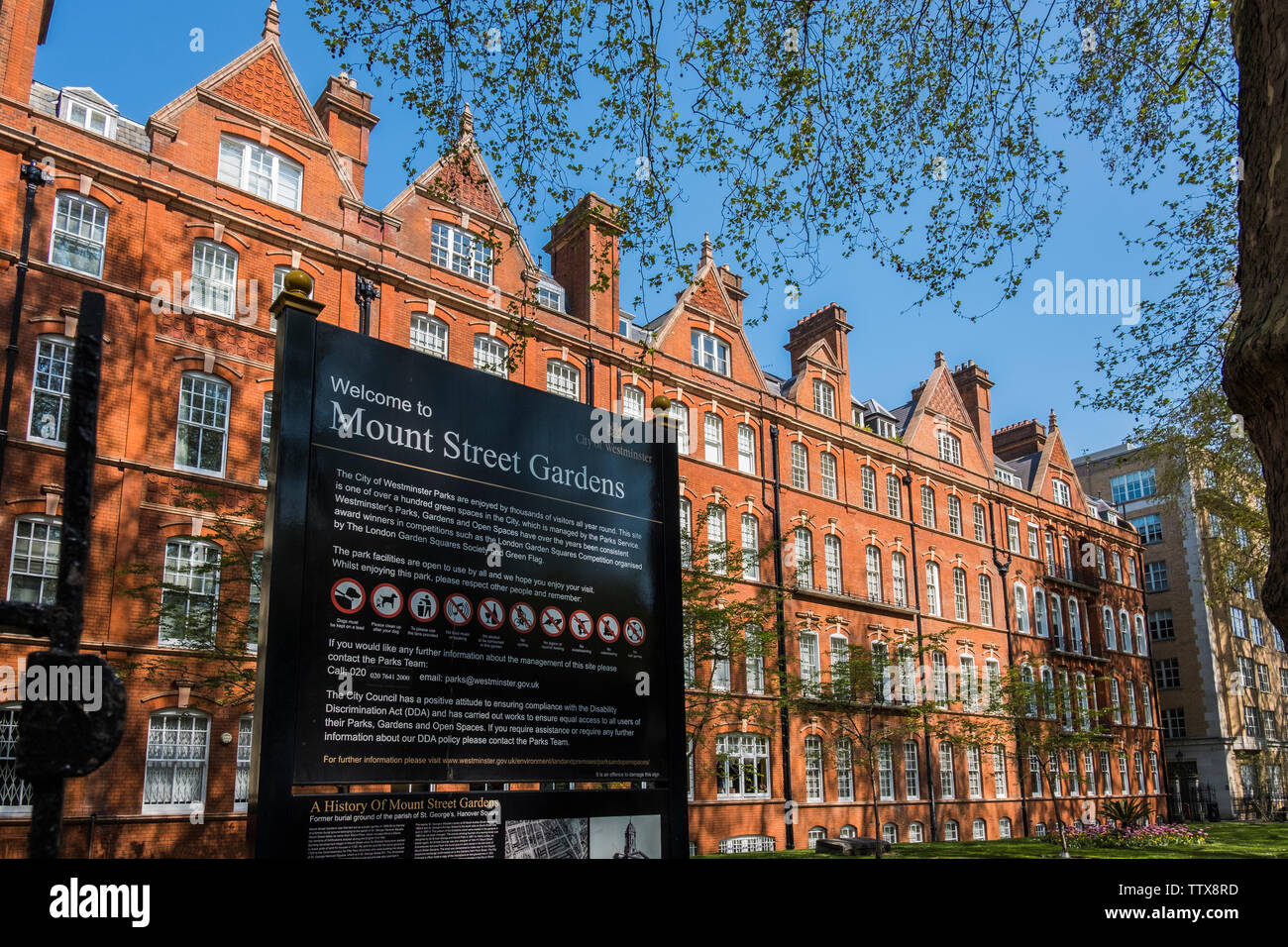 Mount Street Gardens mansion blocks, Mayfair, London, England, U.K ...