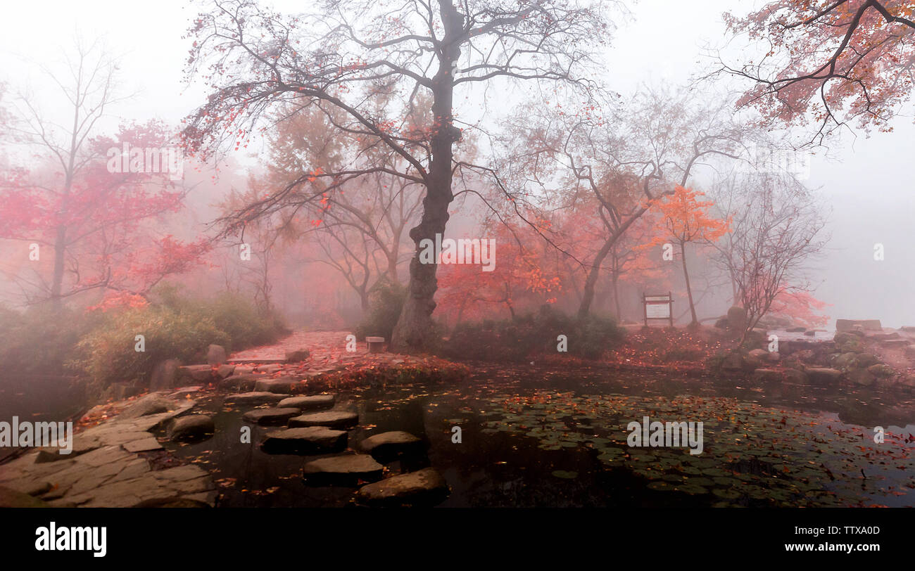 Suzhou garden Tianping Mountain red maple Stock Photo - Alamy