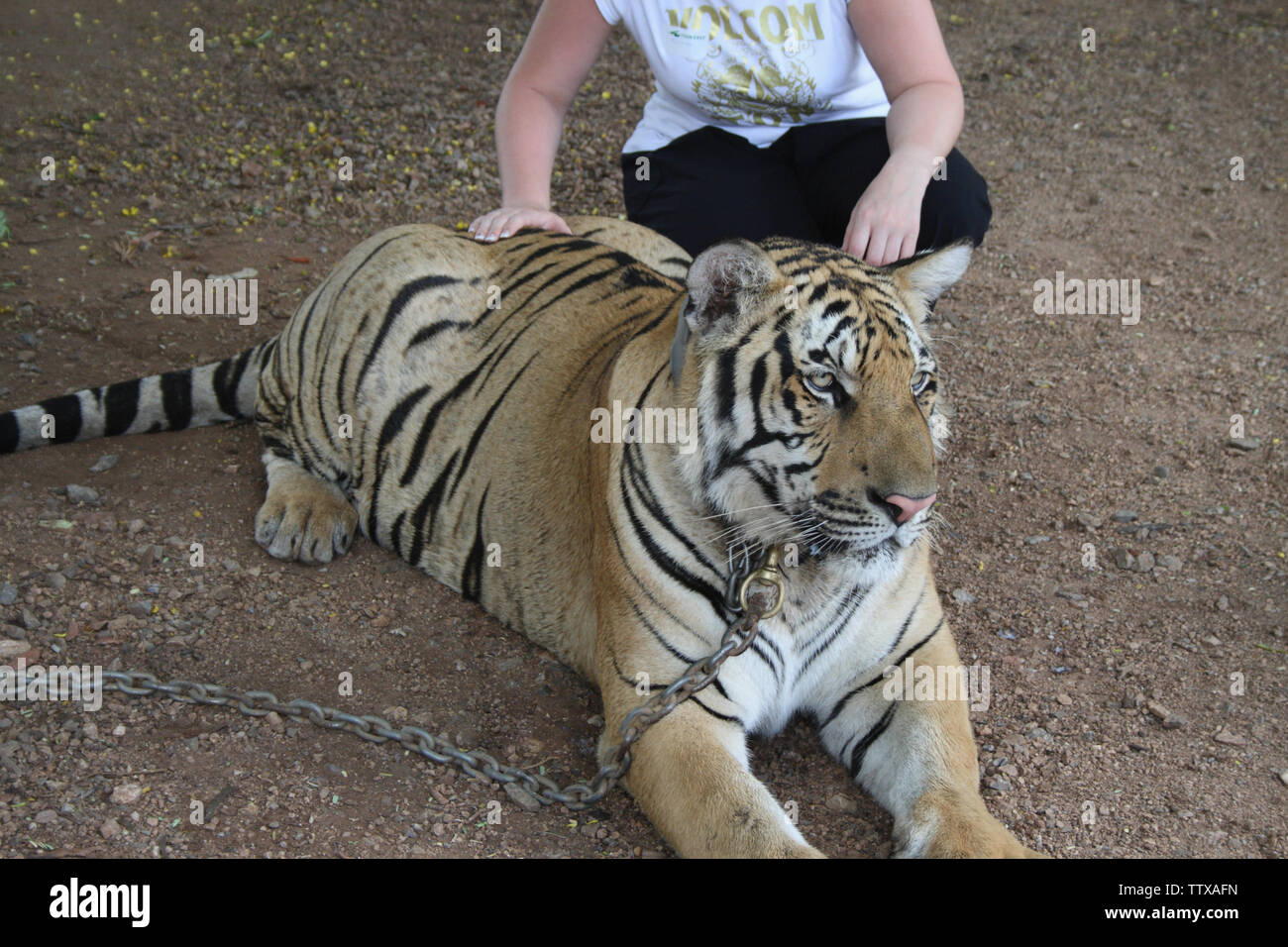 Bua sai hi-res stock photography and images - Alamy