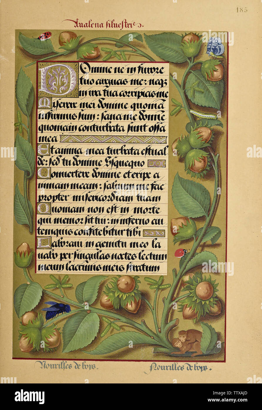 Manuscript booknuscript book Stock Photo - Alamy