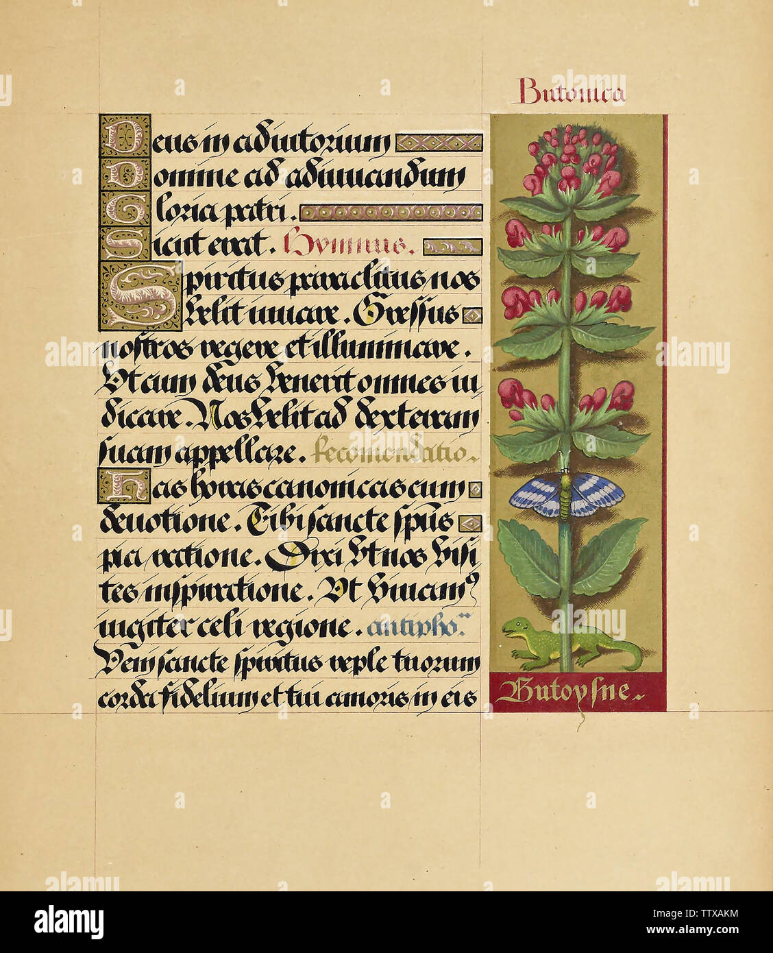 Illegible manuscript book hi-res stock photography and images - Alamy