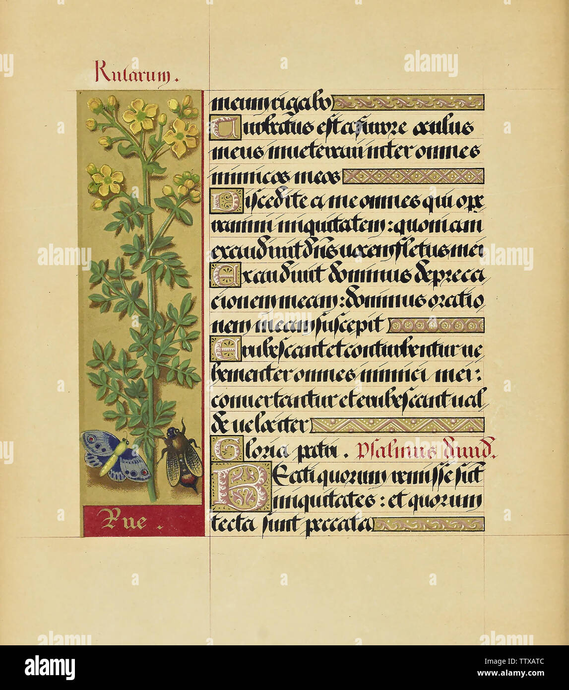 Illegible manuscript book hi-res stock photography and images - Alamy