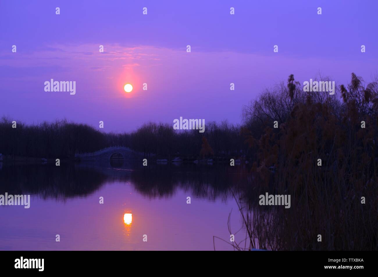 Sunny day, fresh air, sunrise Stock Photo - Alamy