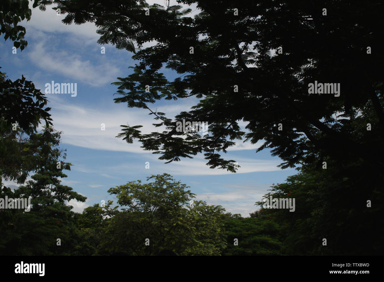 Scenics low angle hi-res stock photography and images - Alamy