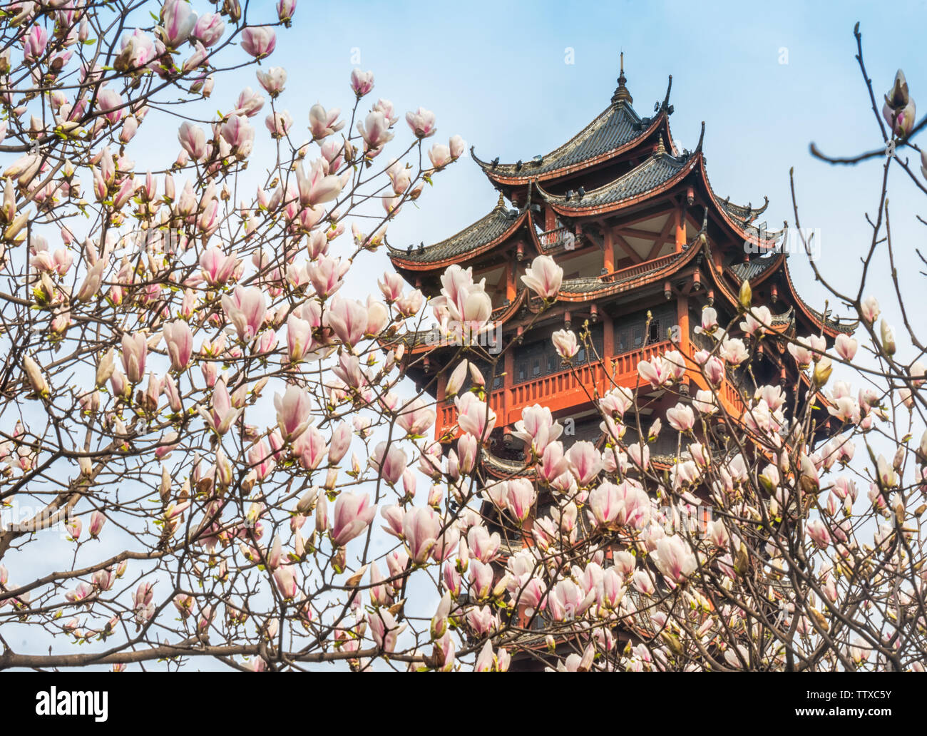 The nine-day floor of Tazishan Park in Chengdu in spring Stock Photo ...