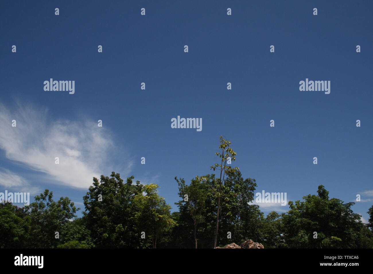 Scenics low angle hi-res stock photography and images - Alamy