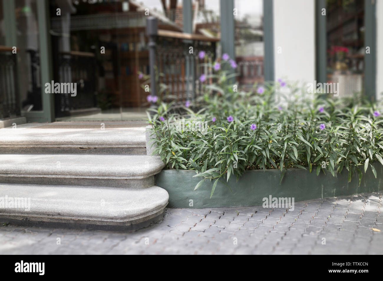 Reception area grass interior hi-res stock photography and images - Alamy