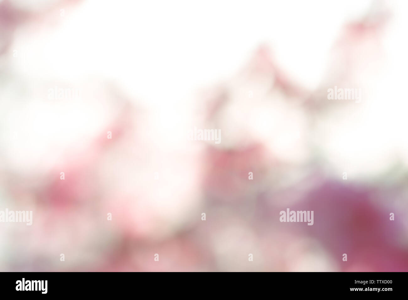 Pink spring background Stock Photo - Alamy