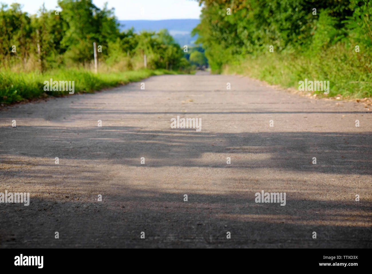 Beautiful country landscape with road and trees Stock Photo - Alamy