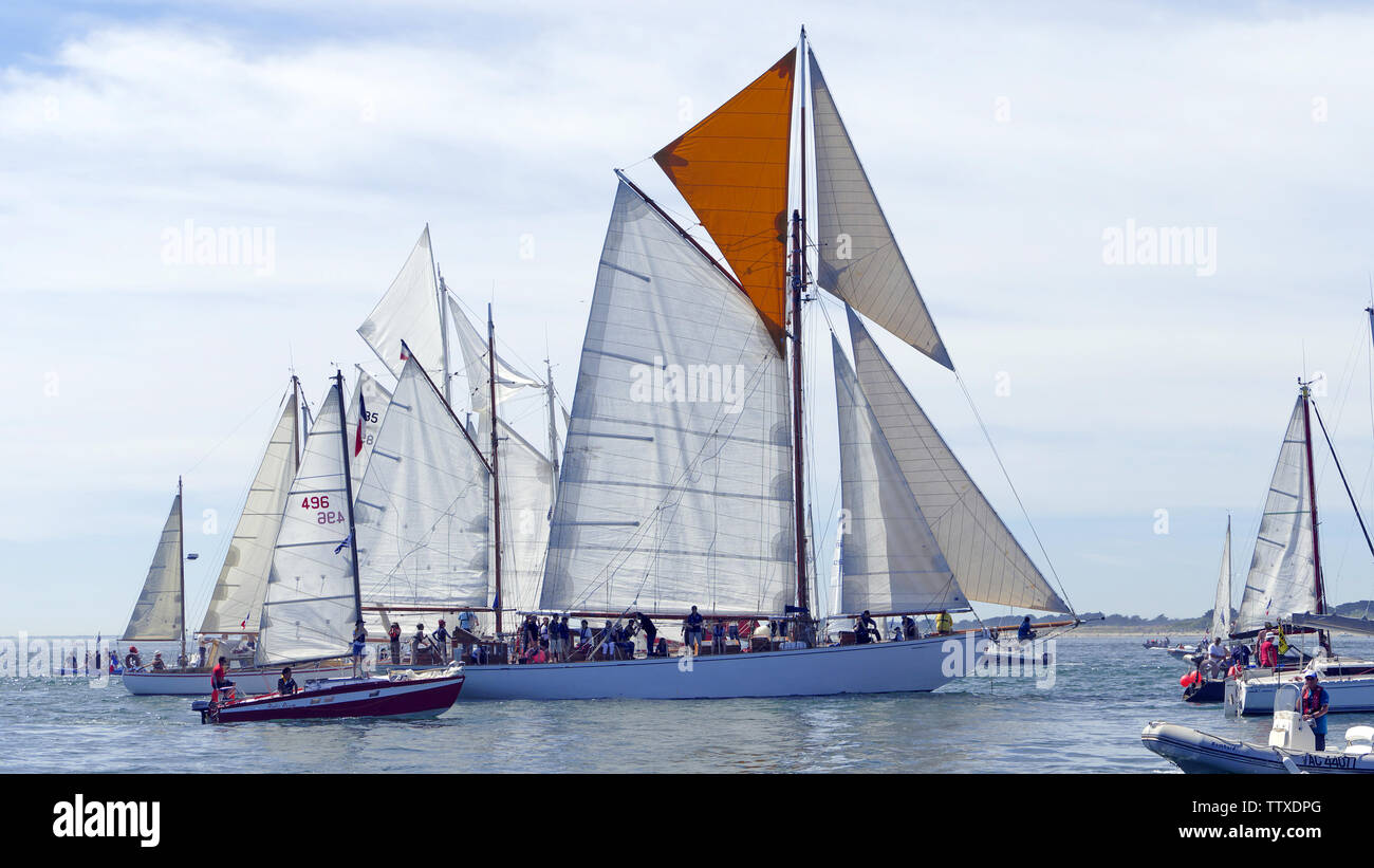 Skeaf (ketch auric, Douarnenez, France), Great parade, Week of the Morbihan gulf (Morbihan ...