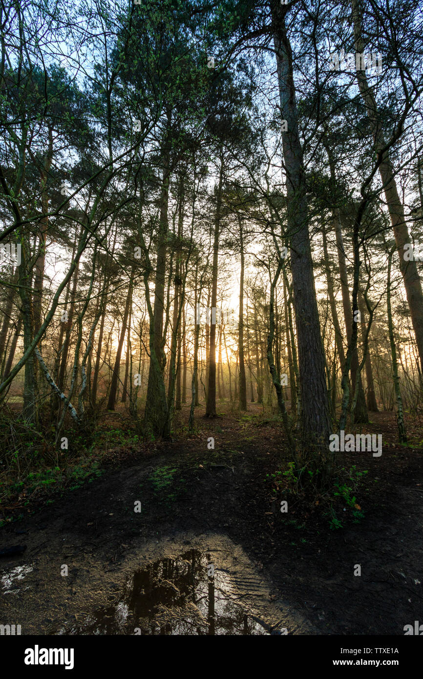 First golden hour of the day hi-res stock photography and images - Alamy