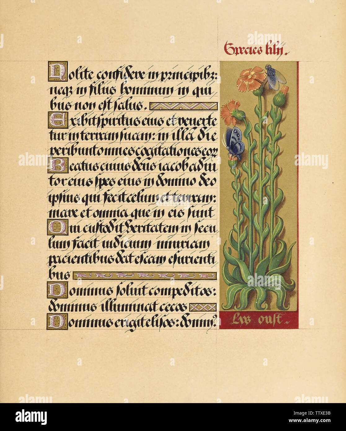 Manuscript booknuscript book Stock Photo - Alamy