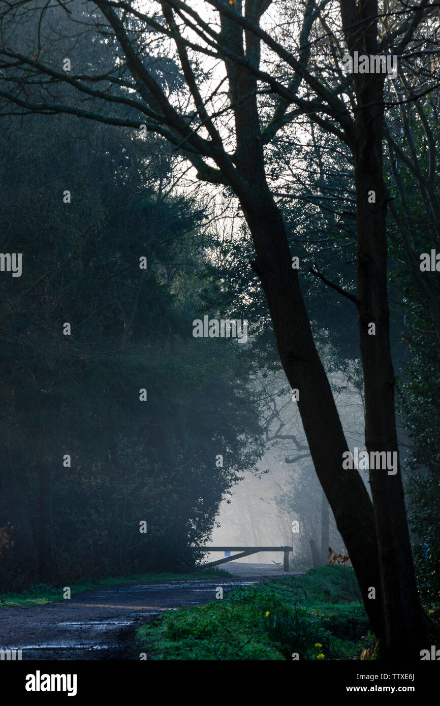 Unmade road hi-res stock photography and images - Alamy