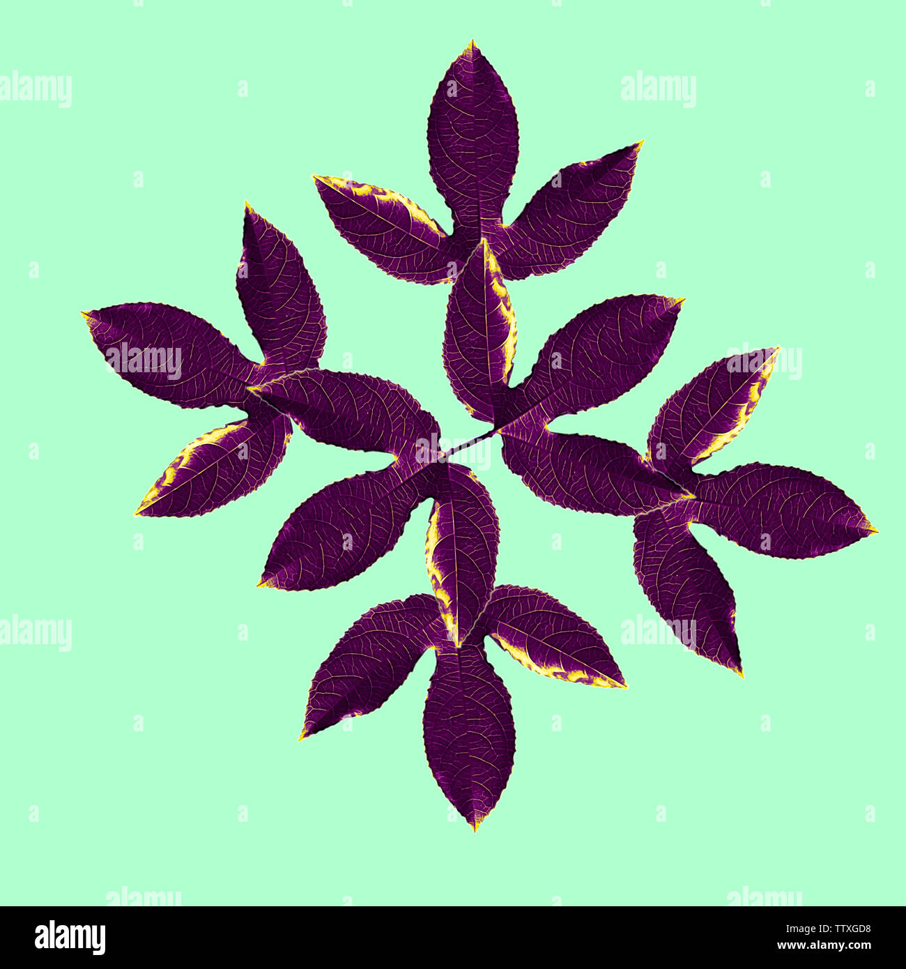 Falling leaves background or wallpaper Stock Photo - Alamy