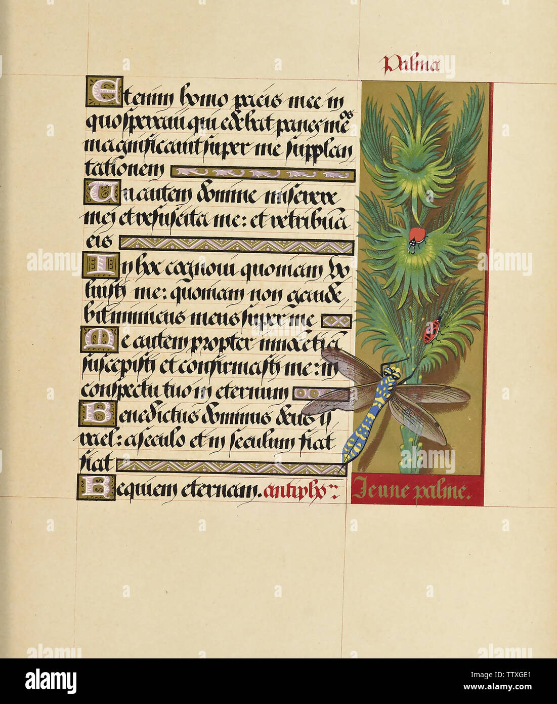 Manuscript booknuscript book Stock Photo - Alamy