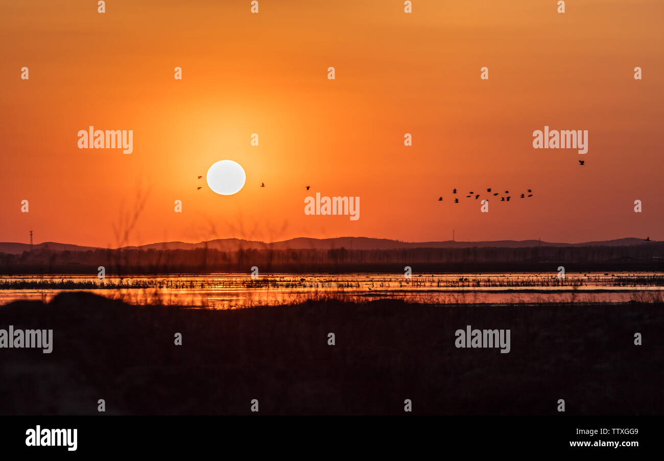 Rivers, wetlands, sunset, sunset Stock Photo - Alamy