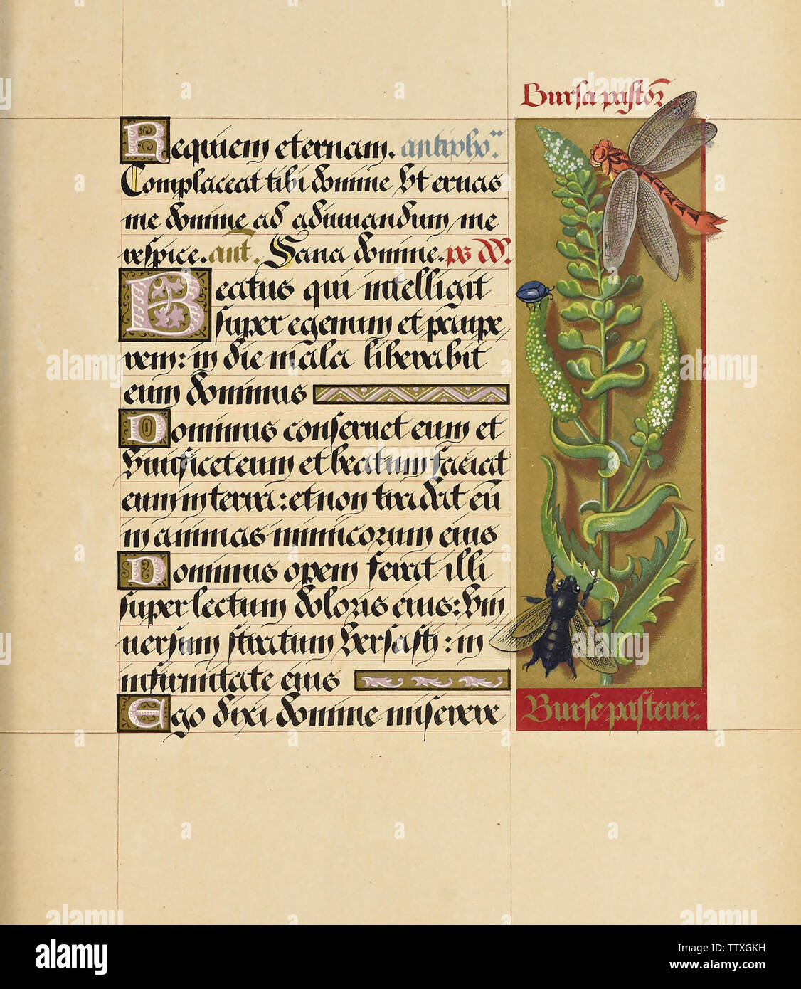 Manuscript booknuscript book Stock Photo - Alamy